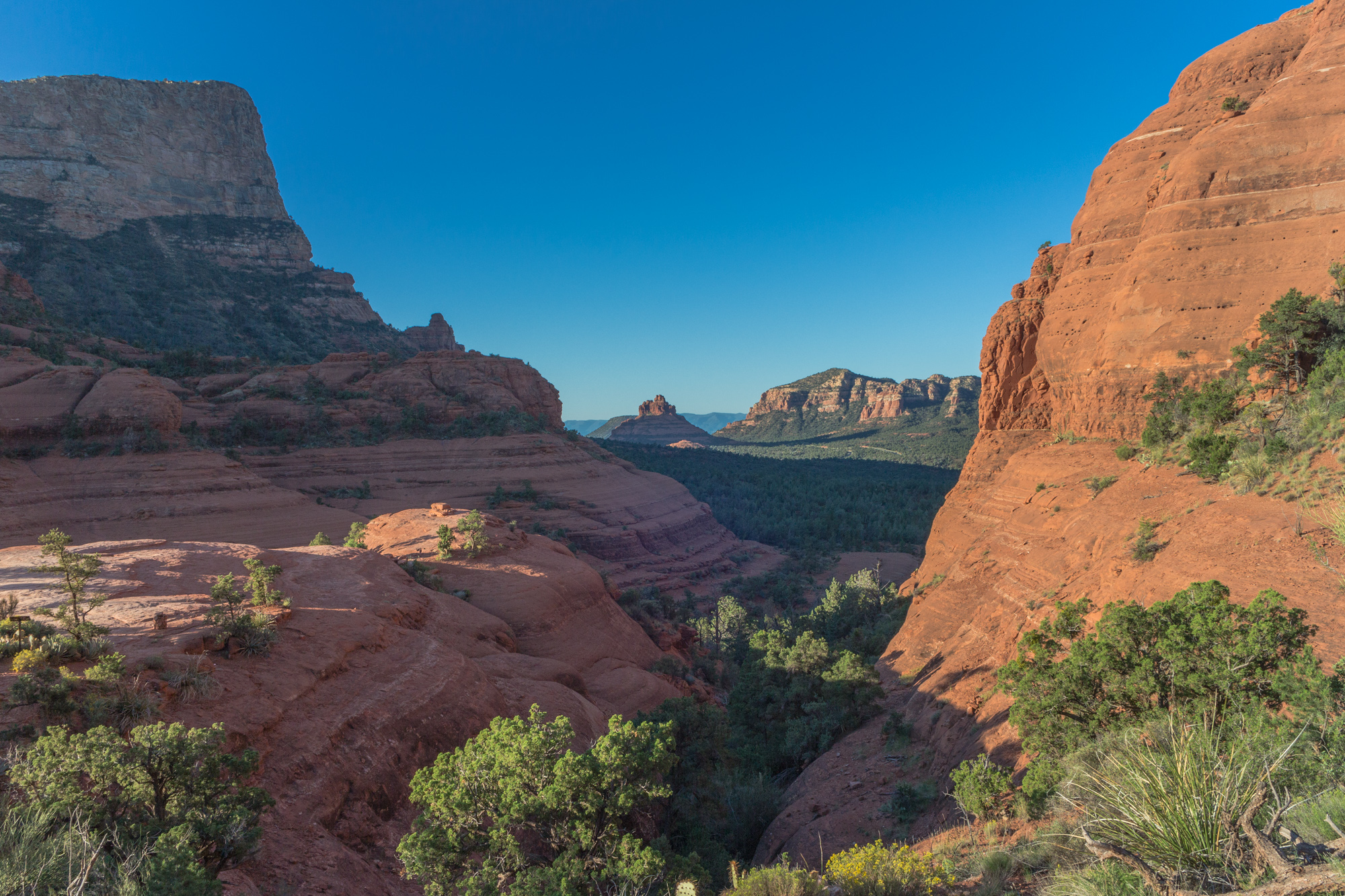 Friday hike blogging: Chicken Point | StorageMojo